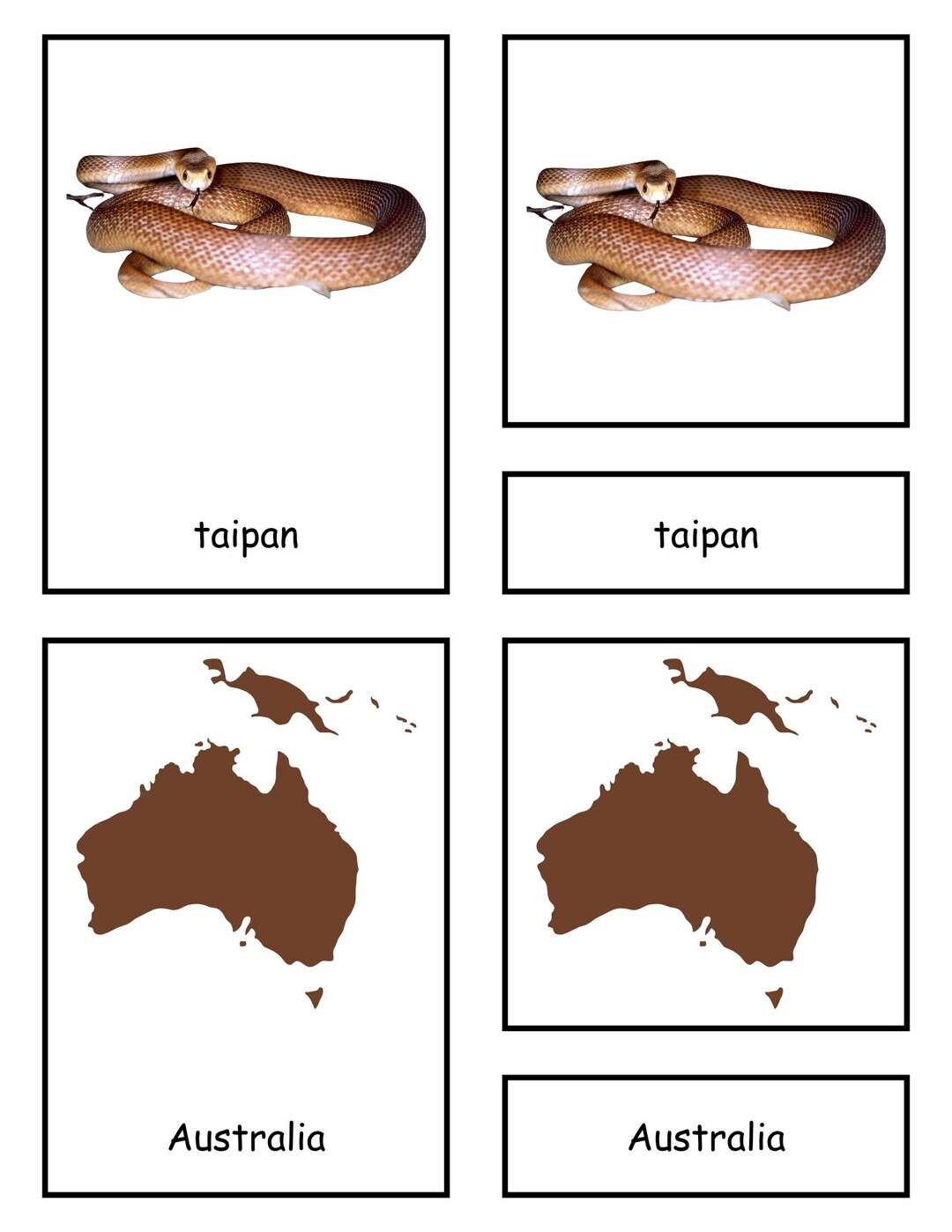 Montessori Australian Animals Three-part Cards + Color Booklet (digital ...