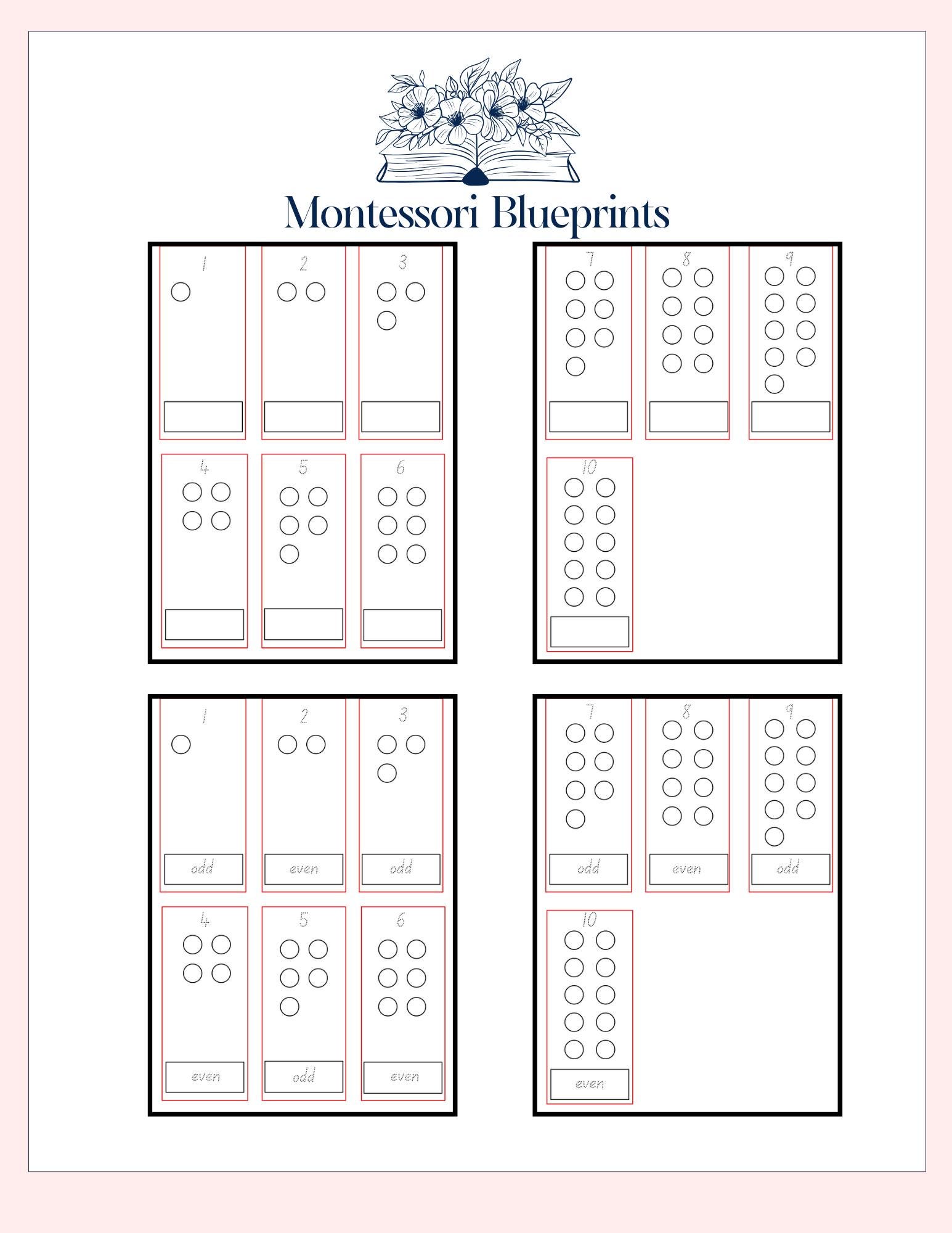 Editable Montessori Math Worksheet for Even and Odd Numbers | Lesson ...