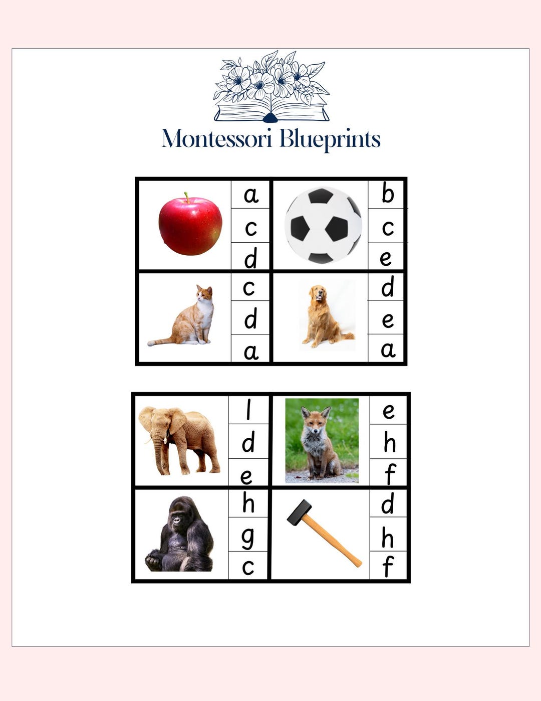 Editable Beginning Phonetic Sound Cards | Digital Template for ...