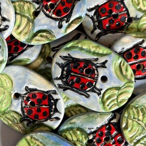 Ladybug in the Garden Oval Shaped Ceramic Buttons - Etsy