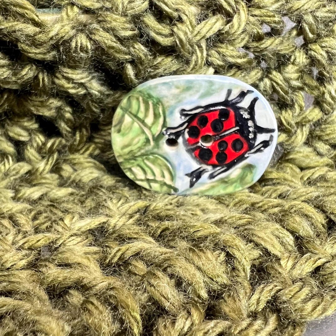 Ladybug in the Garden Oval Shaped Ceramic Buttons - Etsy