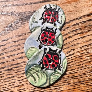 Ladybug in the Garden Oval Shaped Ceramic Buttons - Etsy