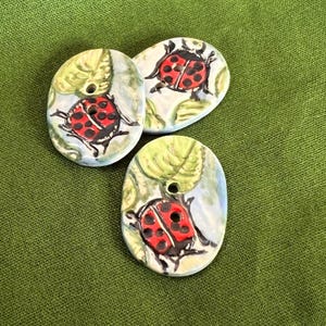 Ladybug in the Garden Oval Shaped Ceramic Buttons - Etsy