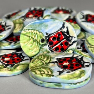Ladybug in the Garden Oval Shaped Ceramic Buttons - Etsy