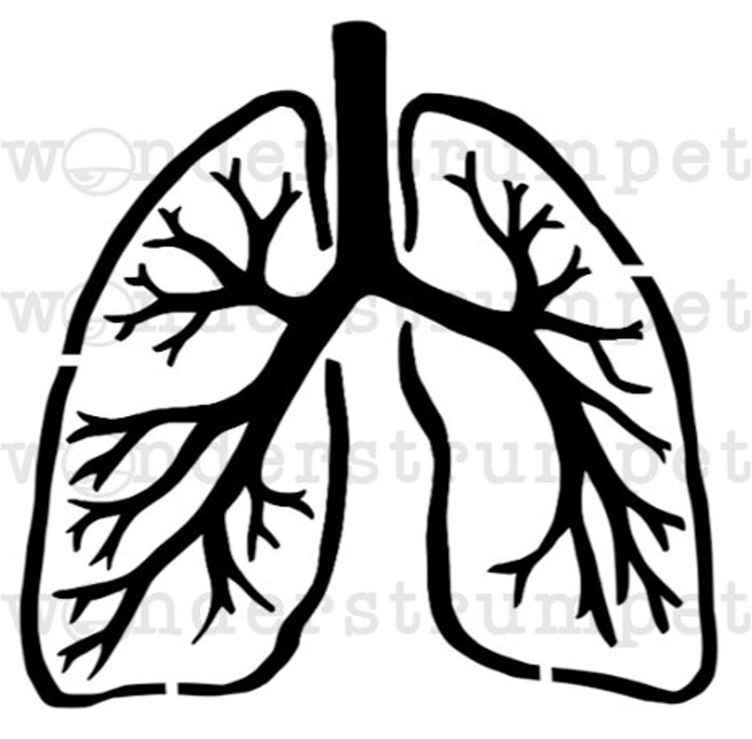 Lungs Stencil - Etsy