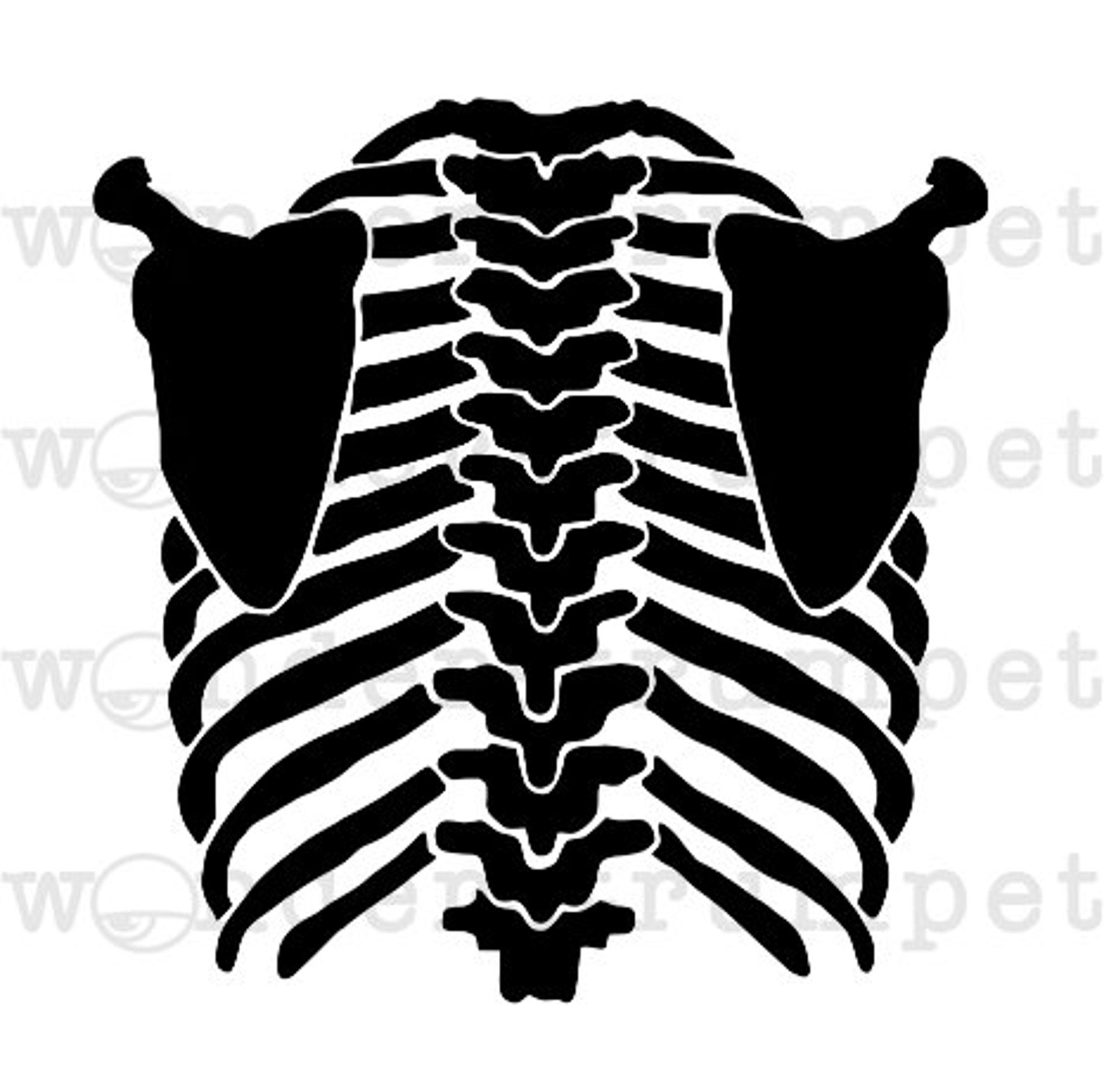 Full Rib Cage Stencil Set | Etsy