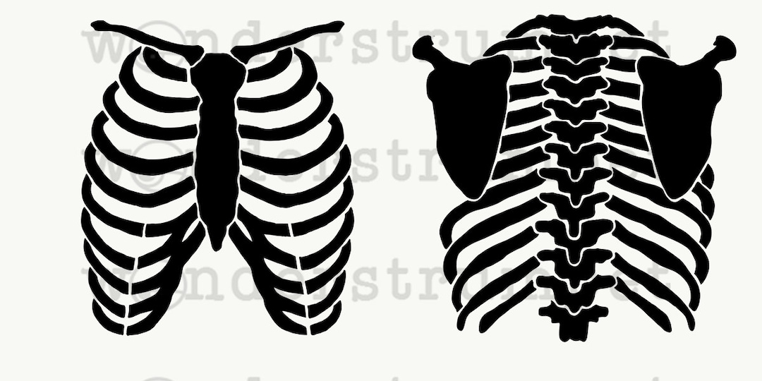 Full Rib Cage Stencil Set - Etsy