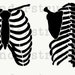 Full Rib Cage Stencil Set - Etsy