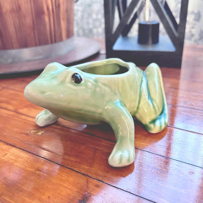 Frog Planter - Etsy