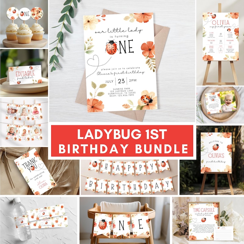 Ladybug 1st Birthday - Etsy