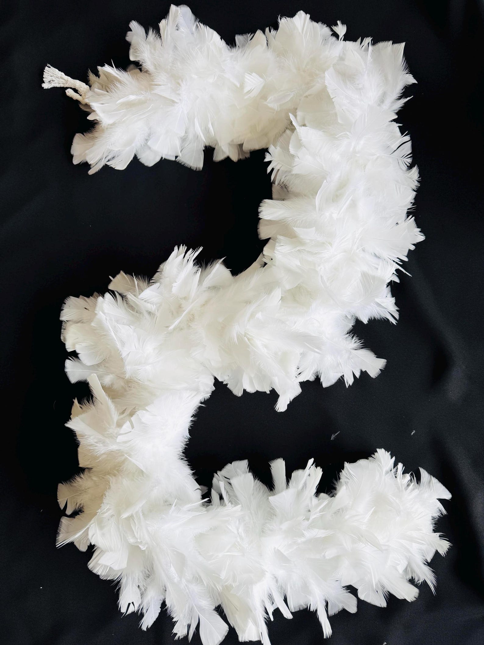 Luxury Chandelle Feather Boa: Soft Fluffy Scarf, Weddings & Costumes - Etsy
