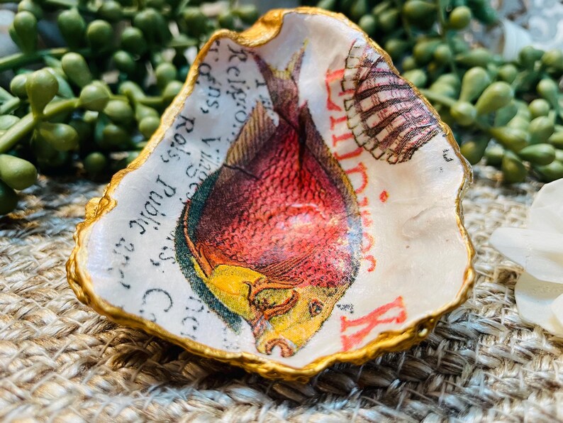 Decoupage Puffer Fish Oyster Shell, Gold Trim Coastal Decor - Etsy