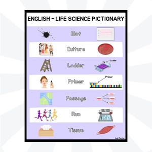 Lab Pictionary - Etsy