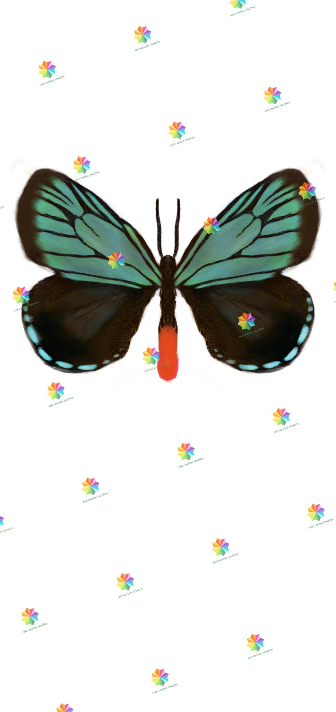Atala Butterfly - Etsy