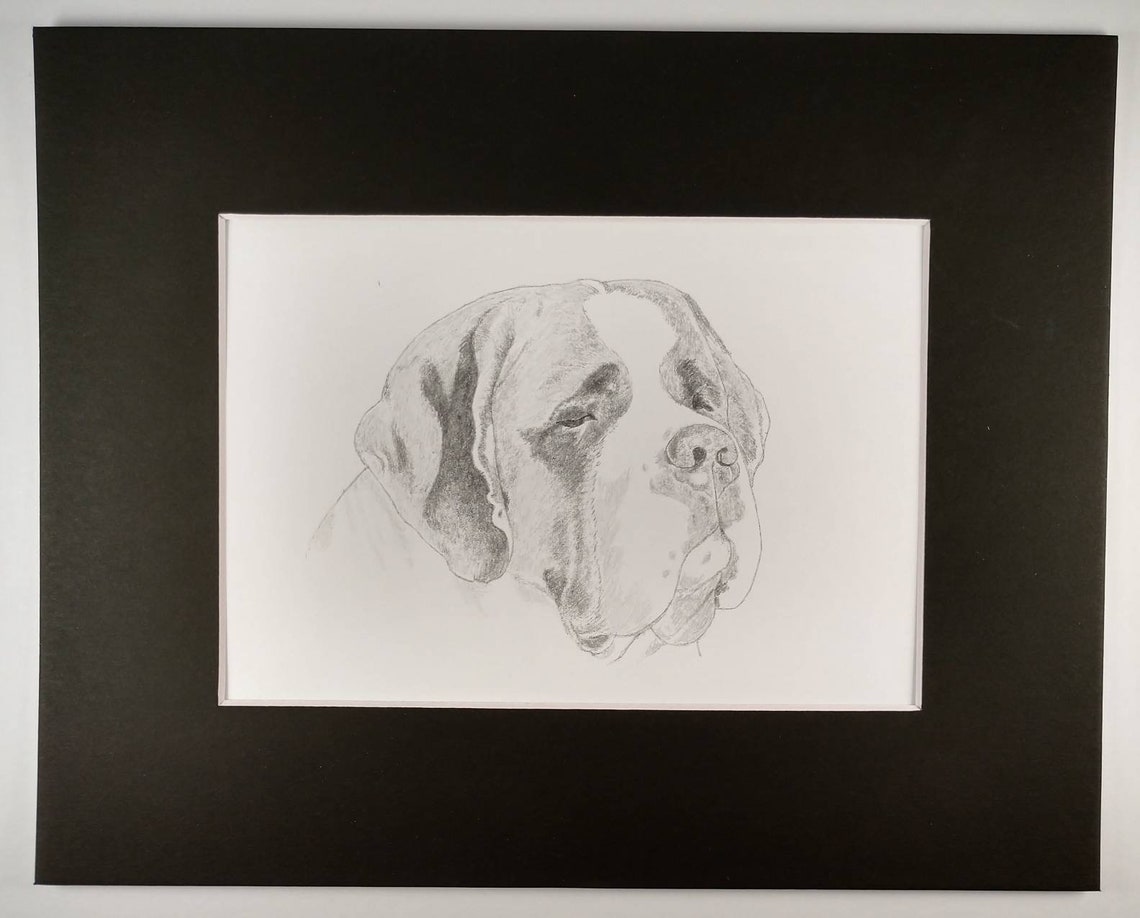 St Bernard Signed Personalized Original Pencil Drawing Matted | Etsy