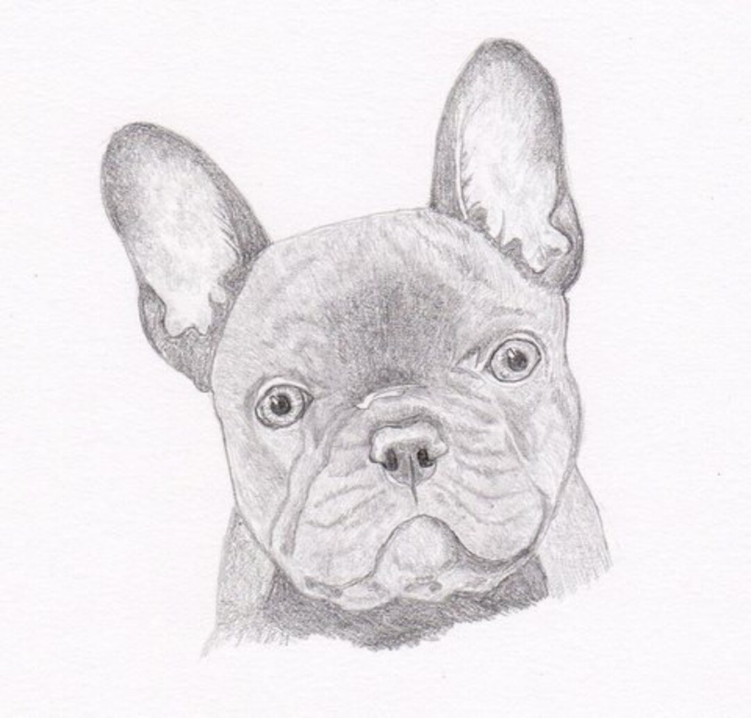 French Bulldog Signed Personalized Original Pencil Drawing Matted Print ...