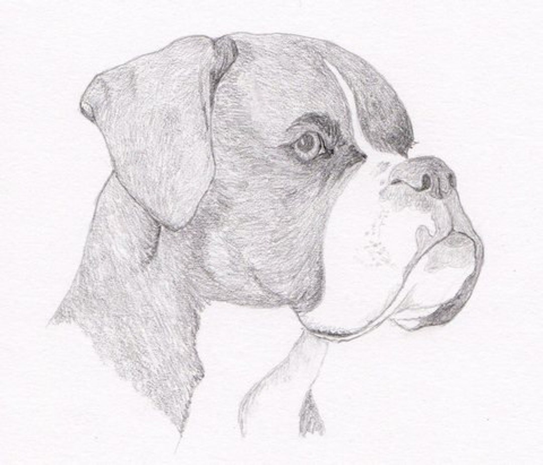 Boxer Signed Personalized Original Pencil Drawing Matted Print -free ...