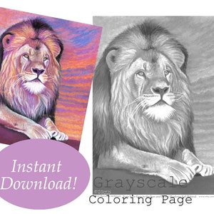 Set of Three Lions Grayscale Coloring Pages Print Your Own Coloring ...