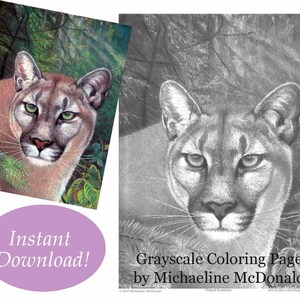 Set of Three Lions Grayscale Coloring Pages Print Your Own Coloring ...