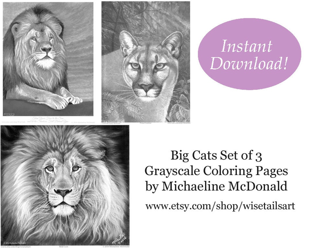 Set of Three Lions Grayscale Coloring Pages Print Your Own Coloring ...