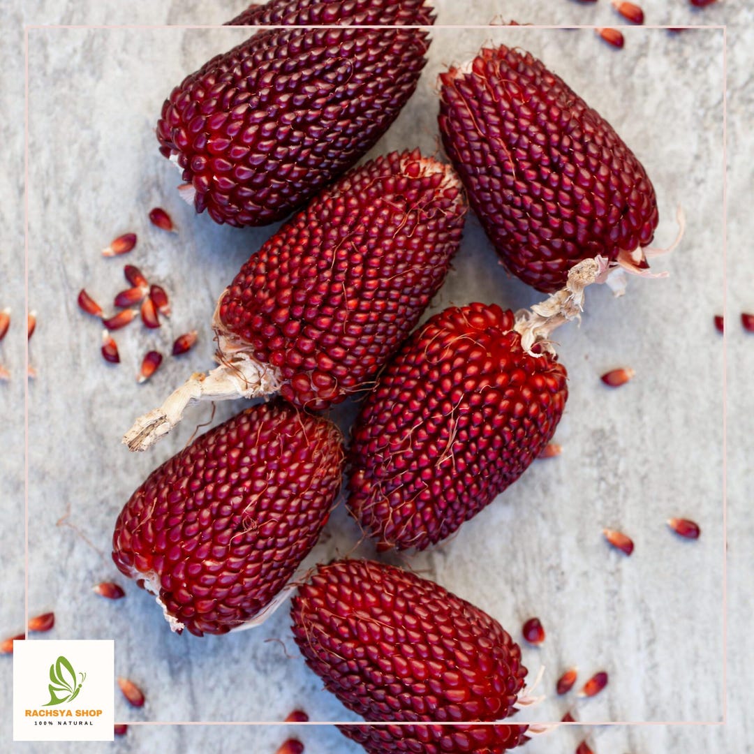 Ruby Red Corn Seeds: Strawberry Popcorn, Heirloom Non-gmo - Etsy