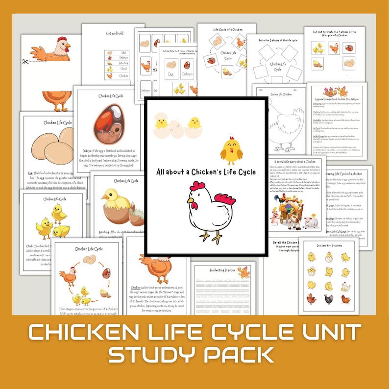 Chicken Unit Study Homeschool Summer Activities Chicken and Chick Life ...