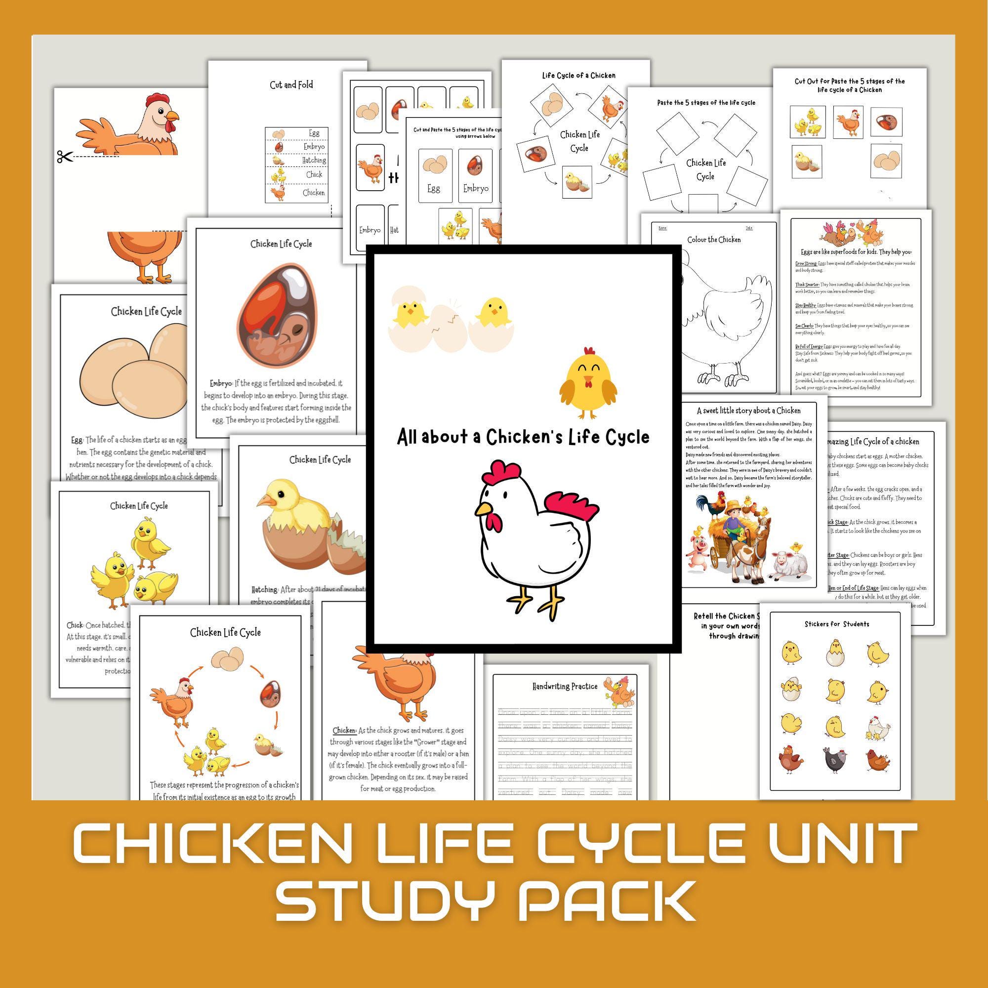Chicken Unit Study Homeschool Summer Activities Chicken and Chick Life ...