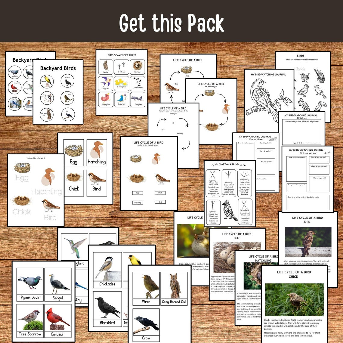 Printable Backyard Birds Unit Study Bird Watching Journal Kids ...
