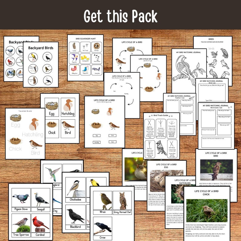 Printable Backyard Birds Unit Study Bird Watching Journal Kids ...
