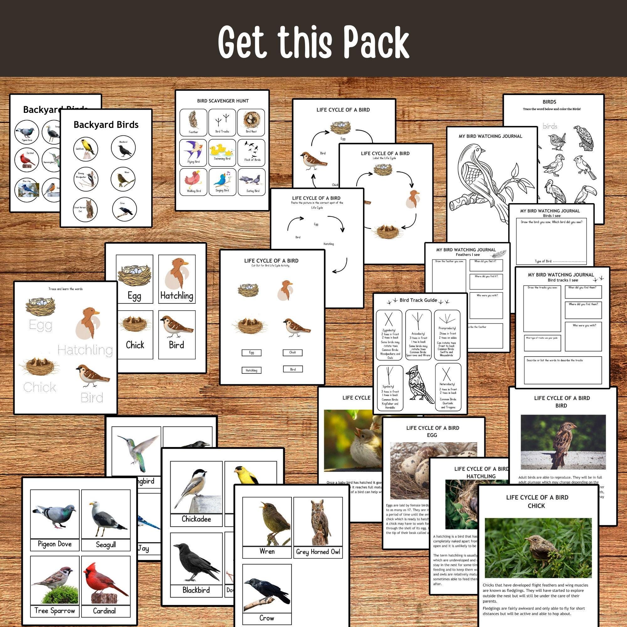 Printable Backyard Birds Unit Study Bird Watching Journal Kids ...