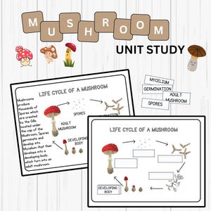Mushroom Unit Study Life Cycle Anatomy Nature Study Coloring Maze Types ...
