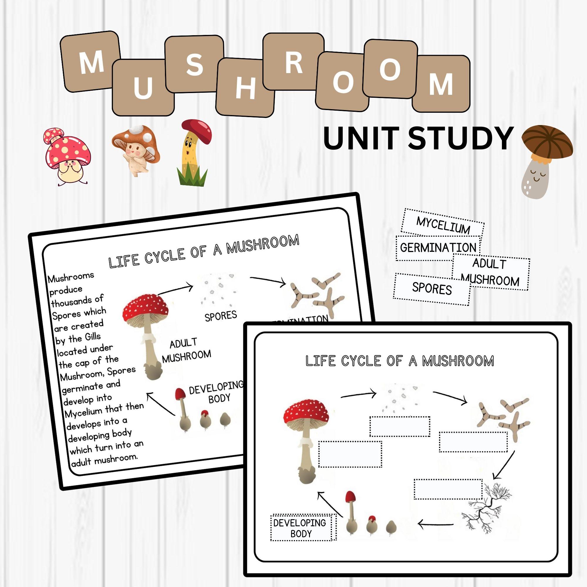 Mushroom Unit Study Life Cycle Anatomy Nature Study Coloring Maze Types ...