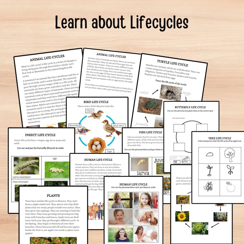 Science Curriculum Mega Bundle: Interactive Learning Journal - Etsy