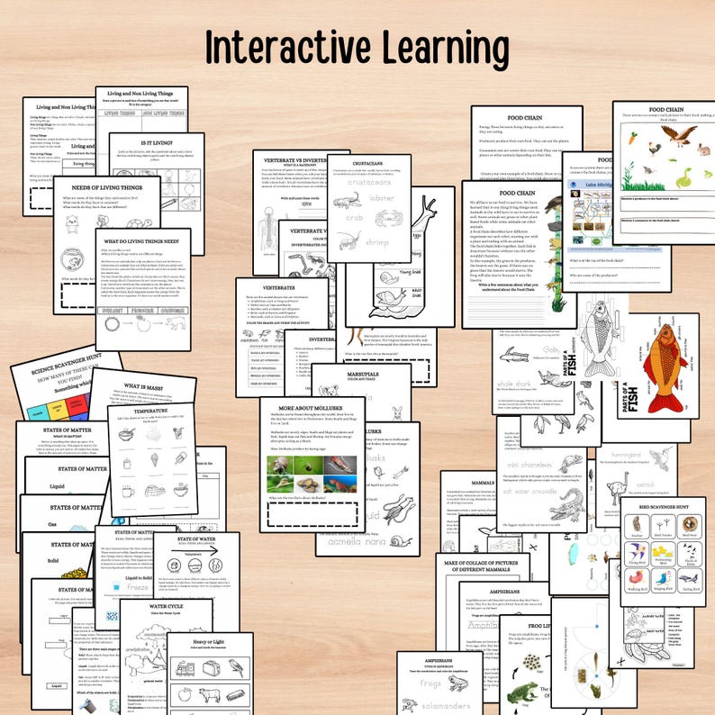 Mega Bundle 2 in 1 Science and US History Curriculum Busy Book ...
