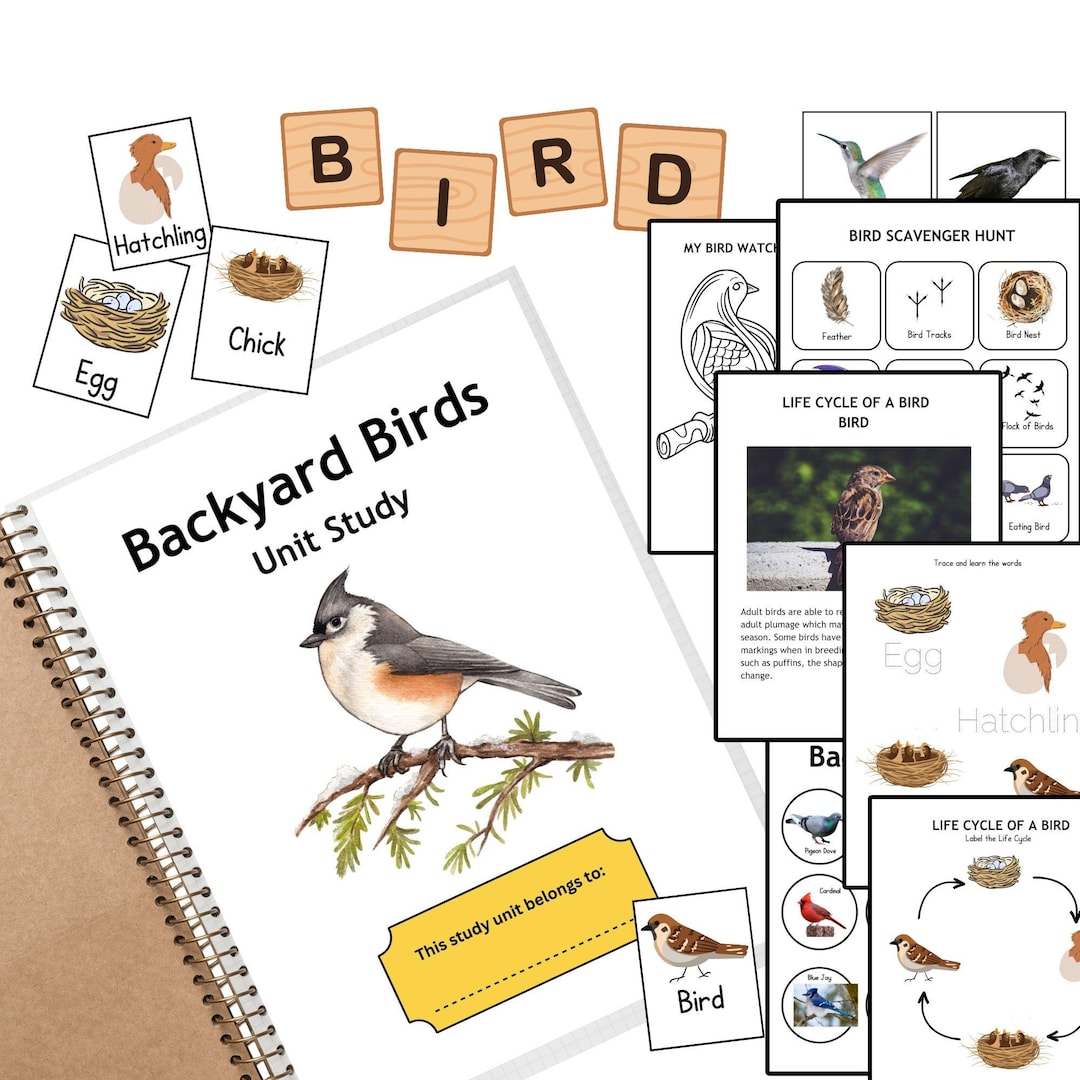 Printable Backyard Birds Unit Study Bird Watching Journal Kids ...