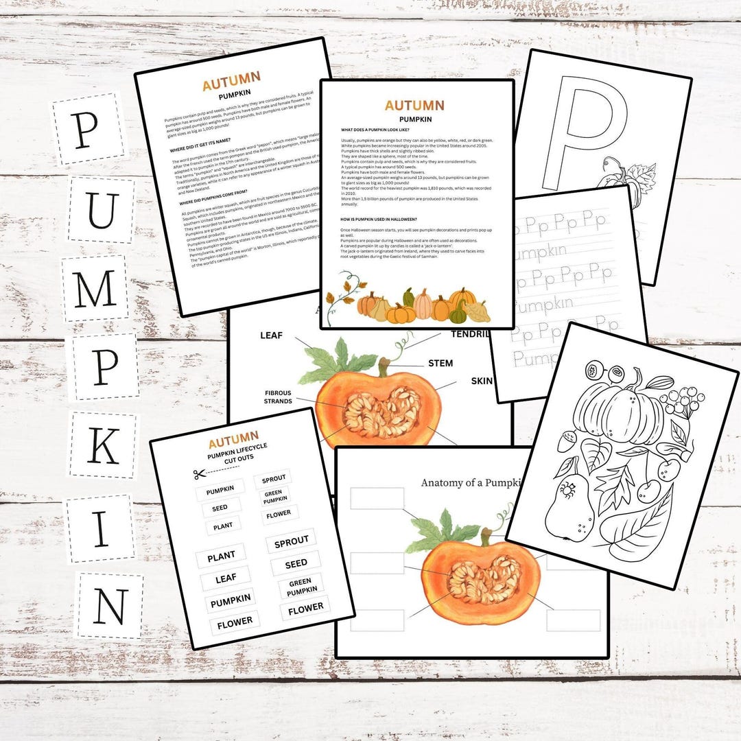 Pumpkin Unit Study Homeschooling Preschool Fall Activities Autumn ...
