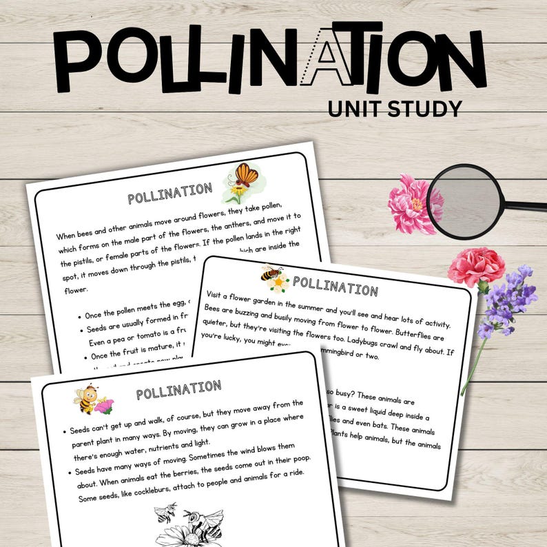 Pollination Flower Unit Study Bundle Anatomy of a Flower Charlotte ...