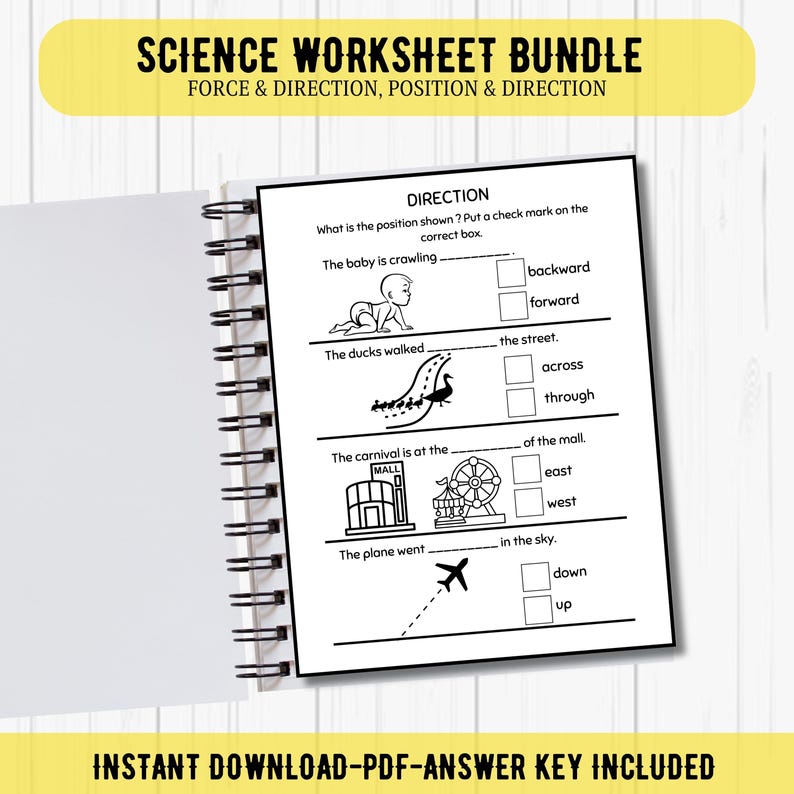 Science Force and Motion Unit Study Bundle 2nd & 3rd Grade Force and ...