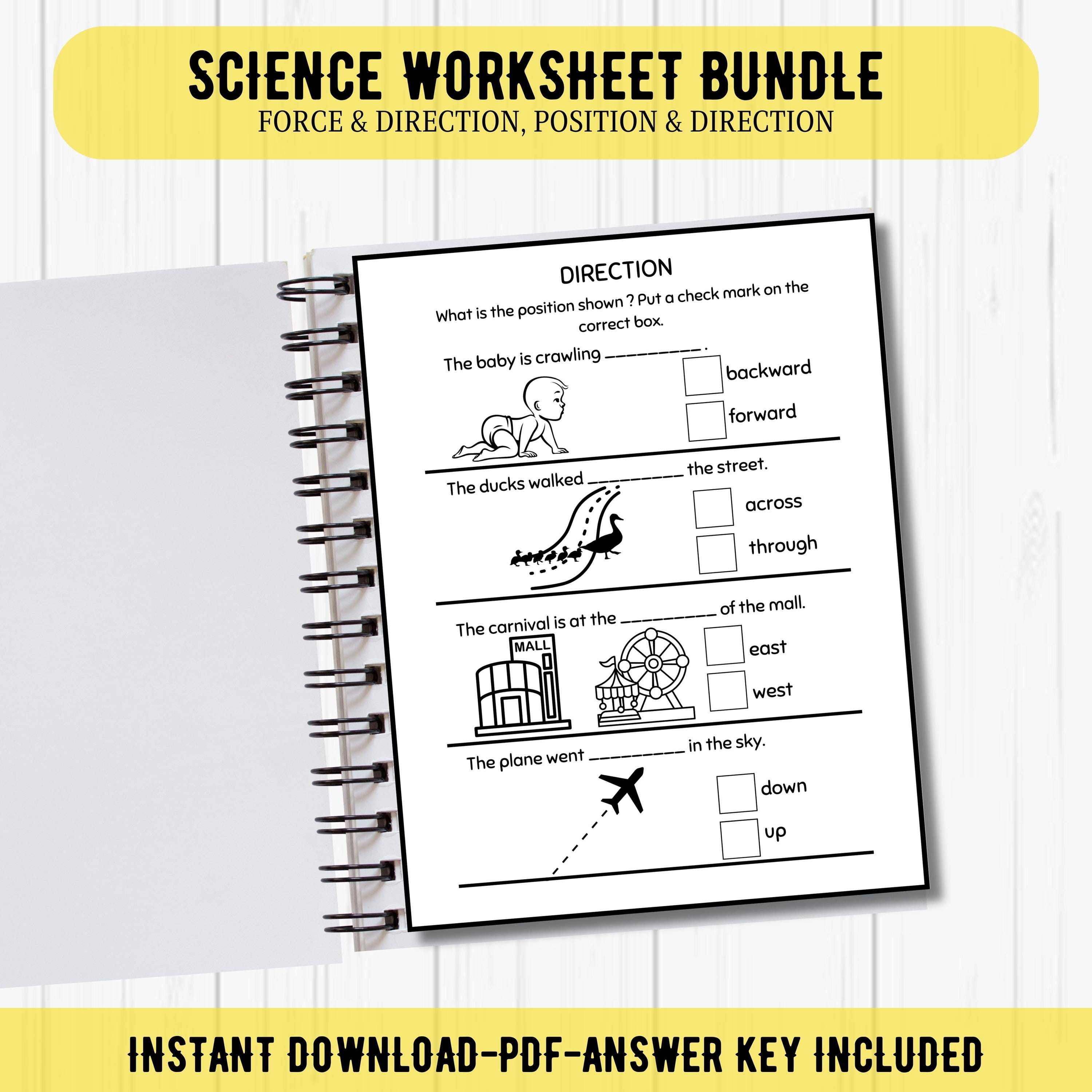 Science Force and Motion Unit Study Bundle 2nd & 3rd Grade Force and ...
