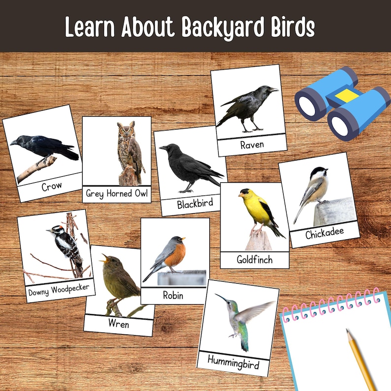 Printable Backyard Birds Unit Study Bird Watching Journal Kids Printable Homeschool Learning ...