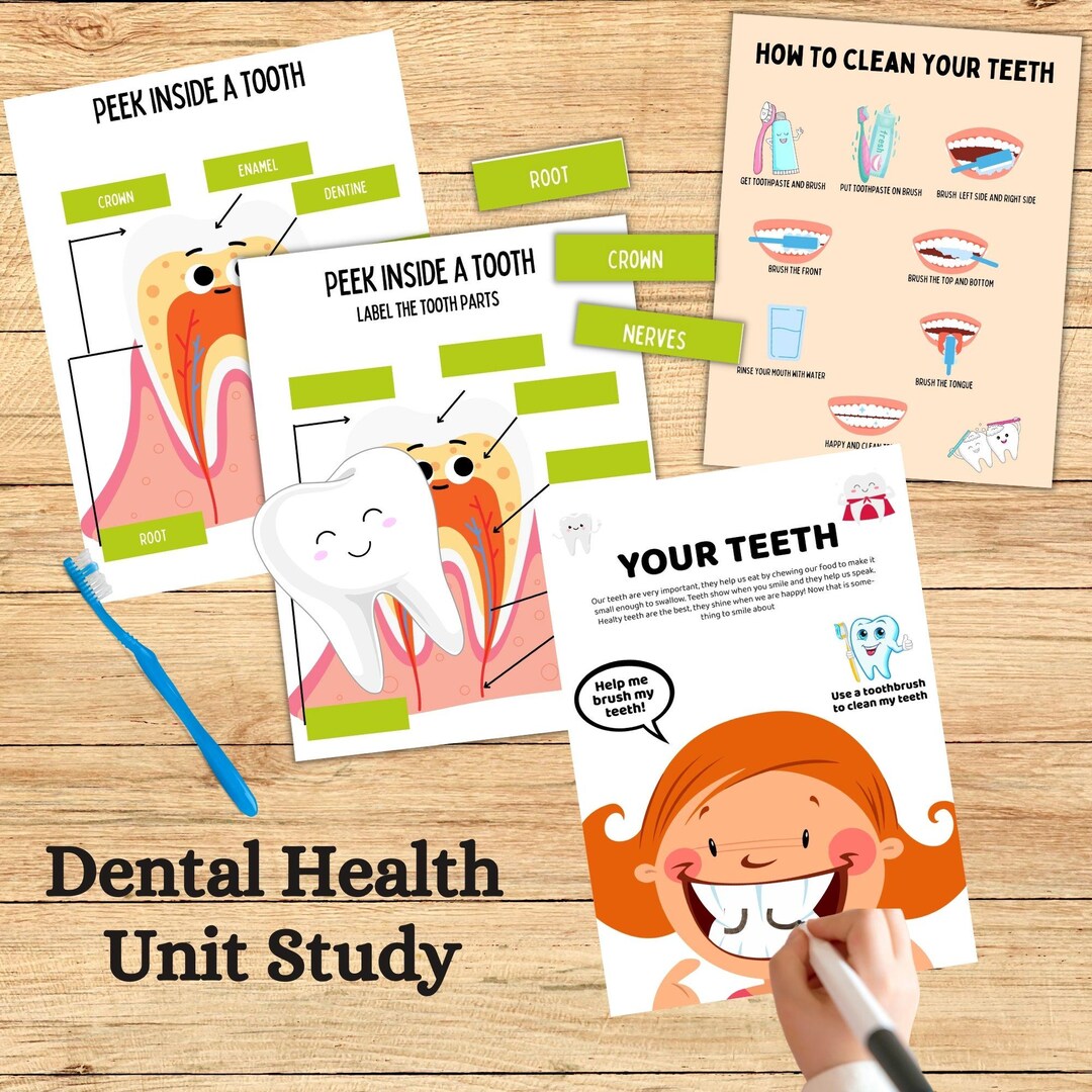 Dental Health Kids Busy Book Printable Human Tooth Anatomy Worksheet ...