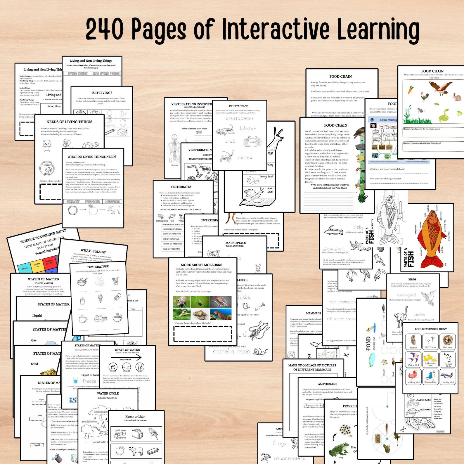 Science Curriculum Mega Bundle: Interactive Learning Journal - Etsy