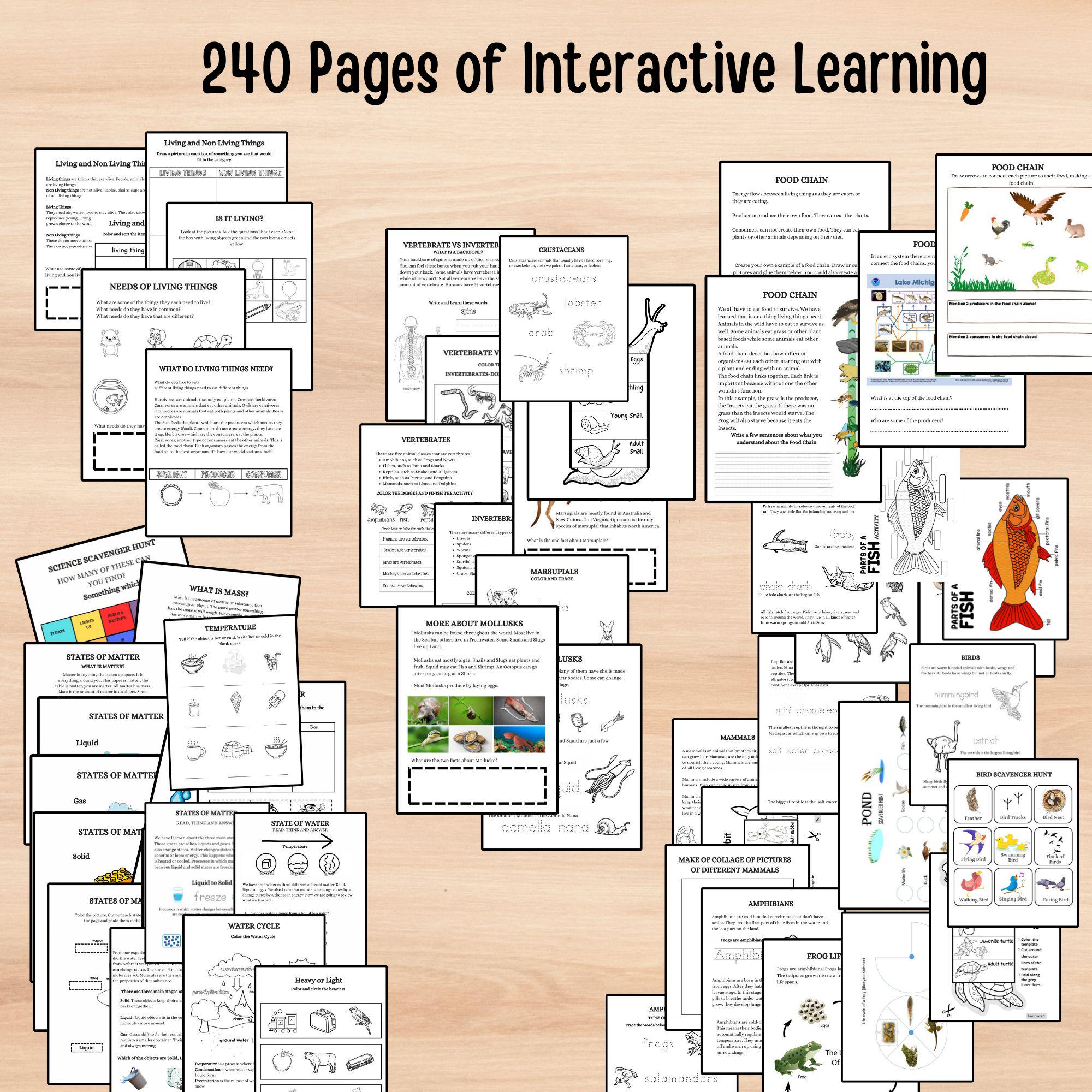 Science Curriculum Mega Bundle: Interactive Learning Journal - Etsy