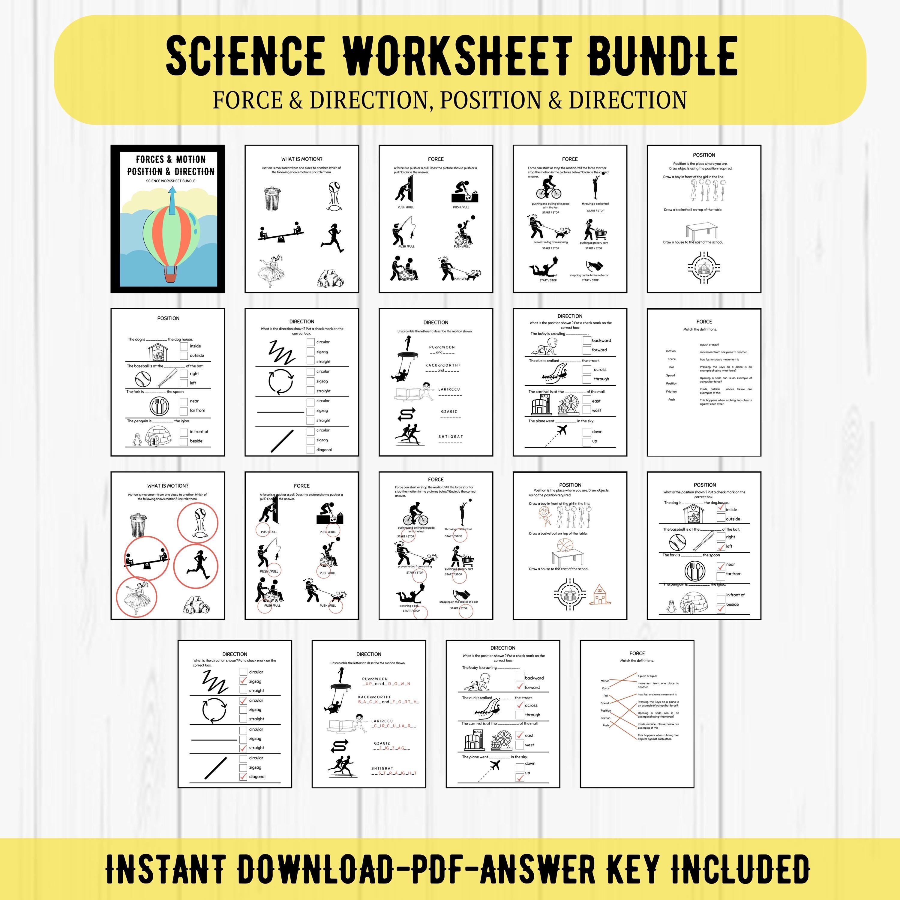 Science Force and Motion Unit Study Bundle 2nd & 3rd Grade Force and ...