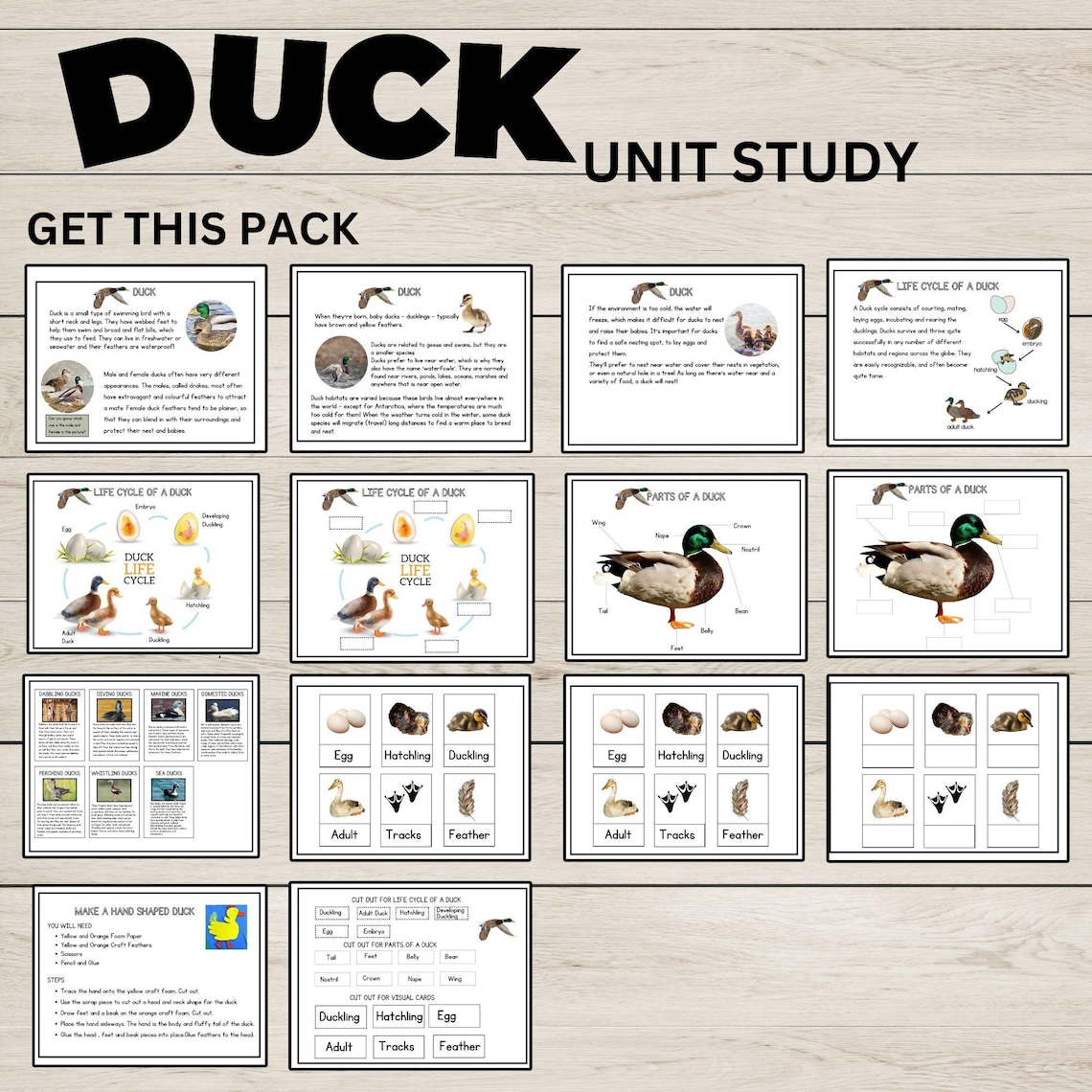 Duck Unit Study Homeschool Learning Material Charlotte Mason Preschool ...