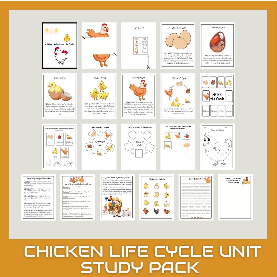 Chicken Unit Study Homeschool Summer Activities Chicken and Chick Life ...