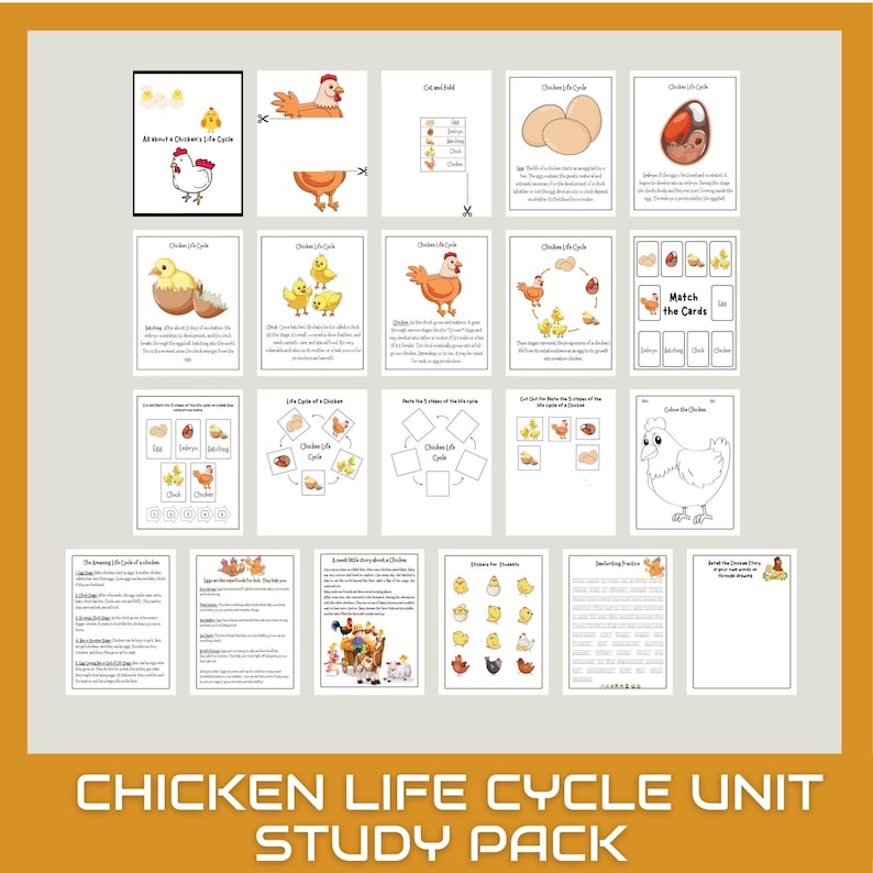 Chicken Unit Study Homeschool Summer Activities Chicken and Chick Life ...