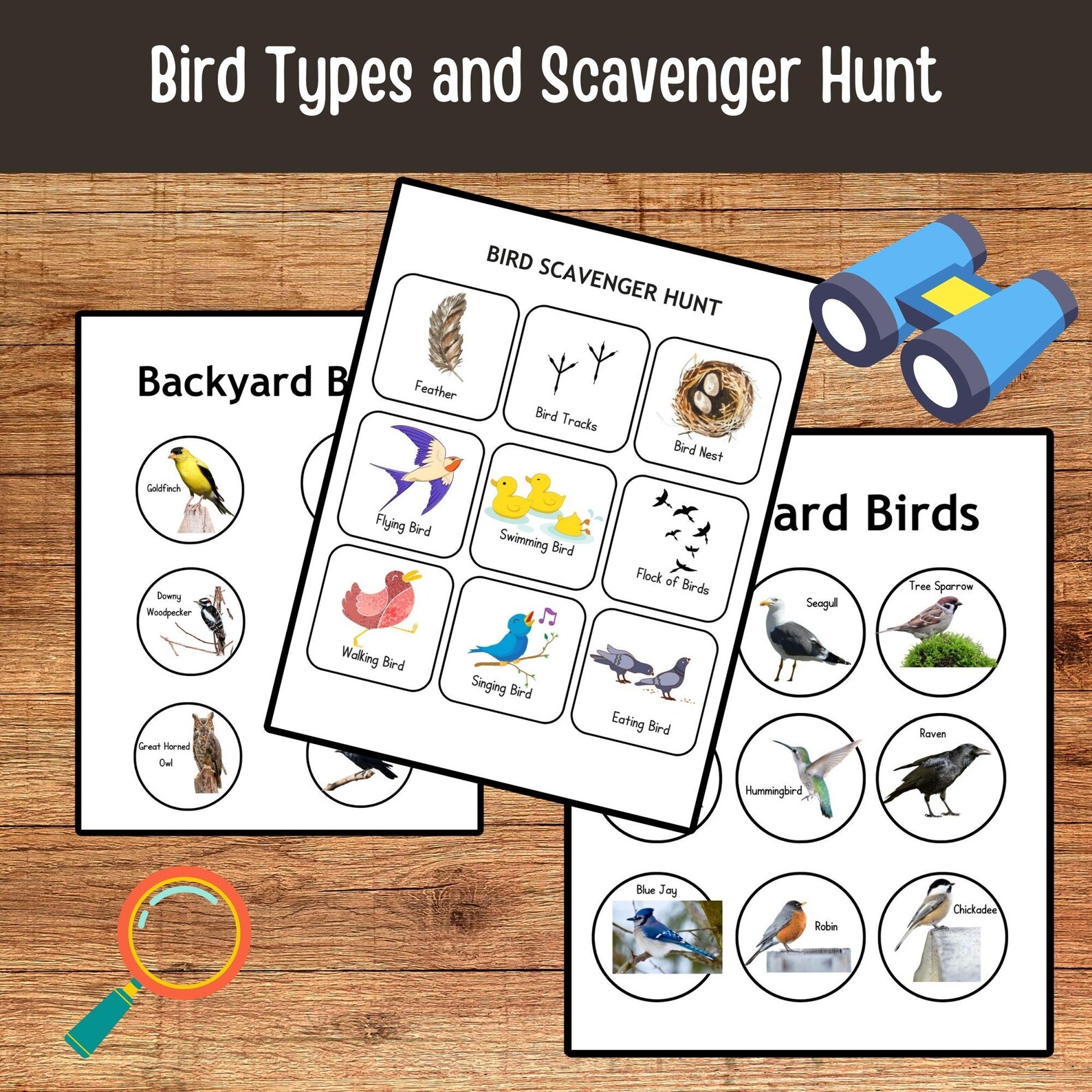 Printable Backyard Birds Unit Study Bird Watching Journal Kids ...