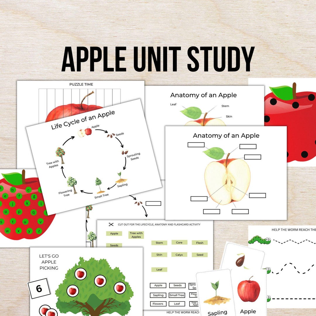 APPLE Unit Study Life Cycle Anatomy Nature Study Kindergarten Science ...