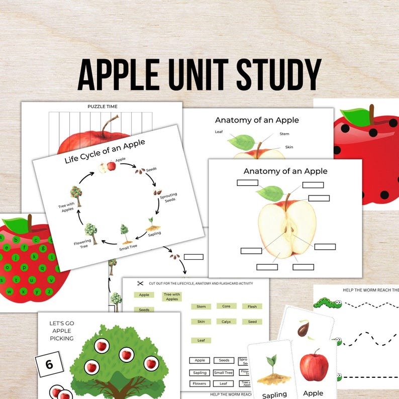 APPLE Unit Study Life Cycle Anatomy Nature Study Kindergarten Science ...